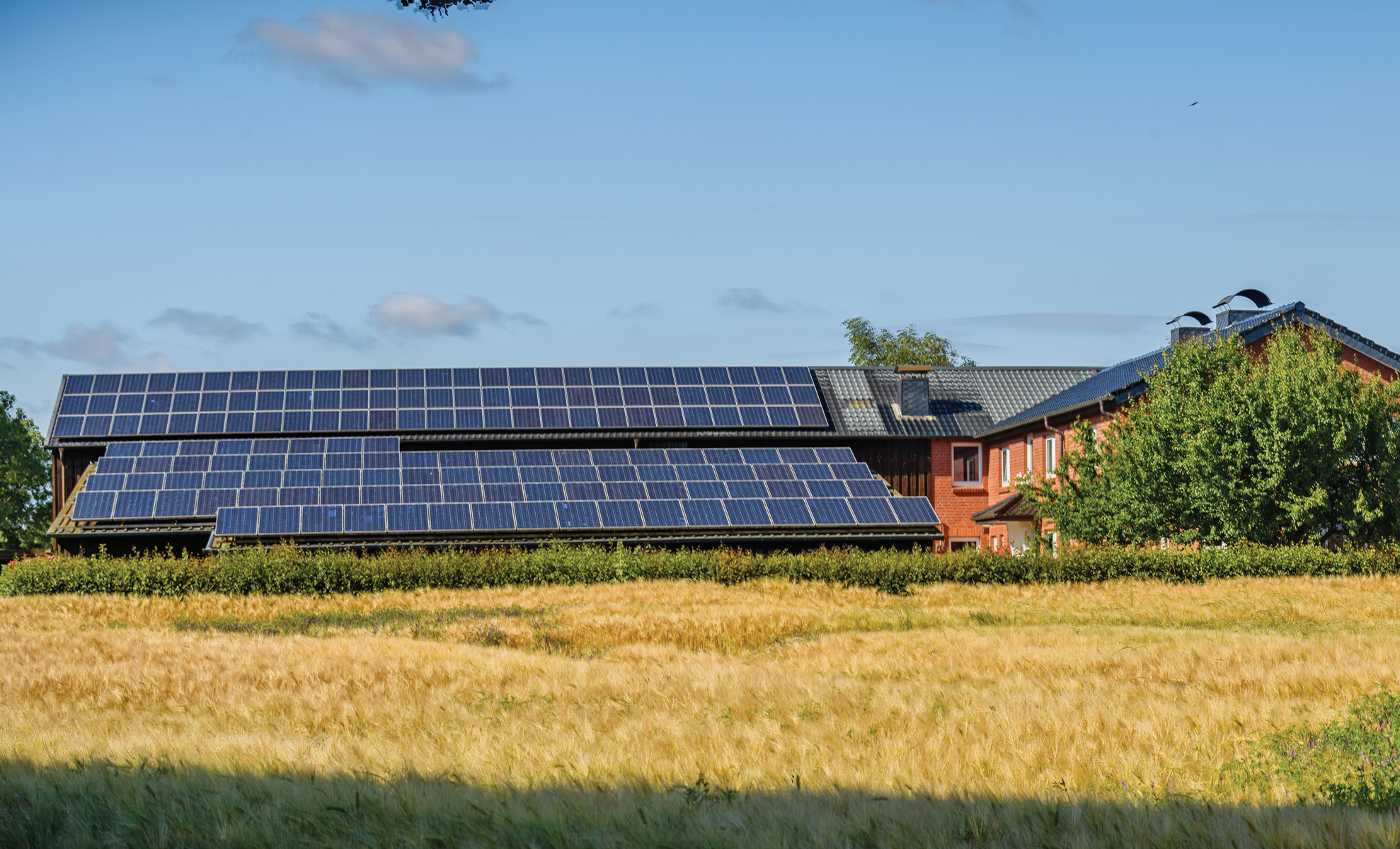 What is a Microgrid and How Does it Work? – Mother Earth News